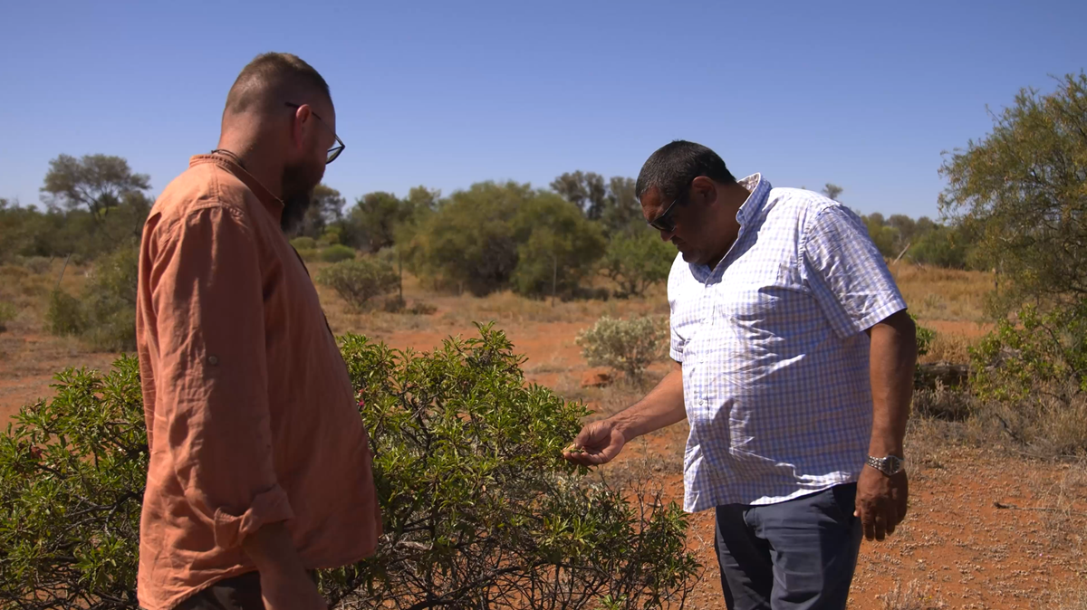 CSIRO welcomes new Wajarri Yamaji name for WA observatory site - CSIRO