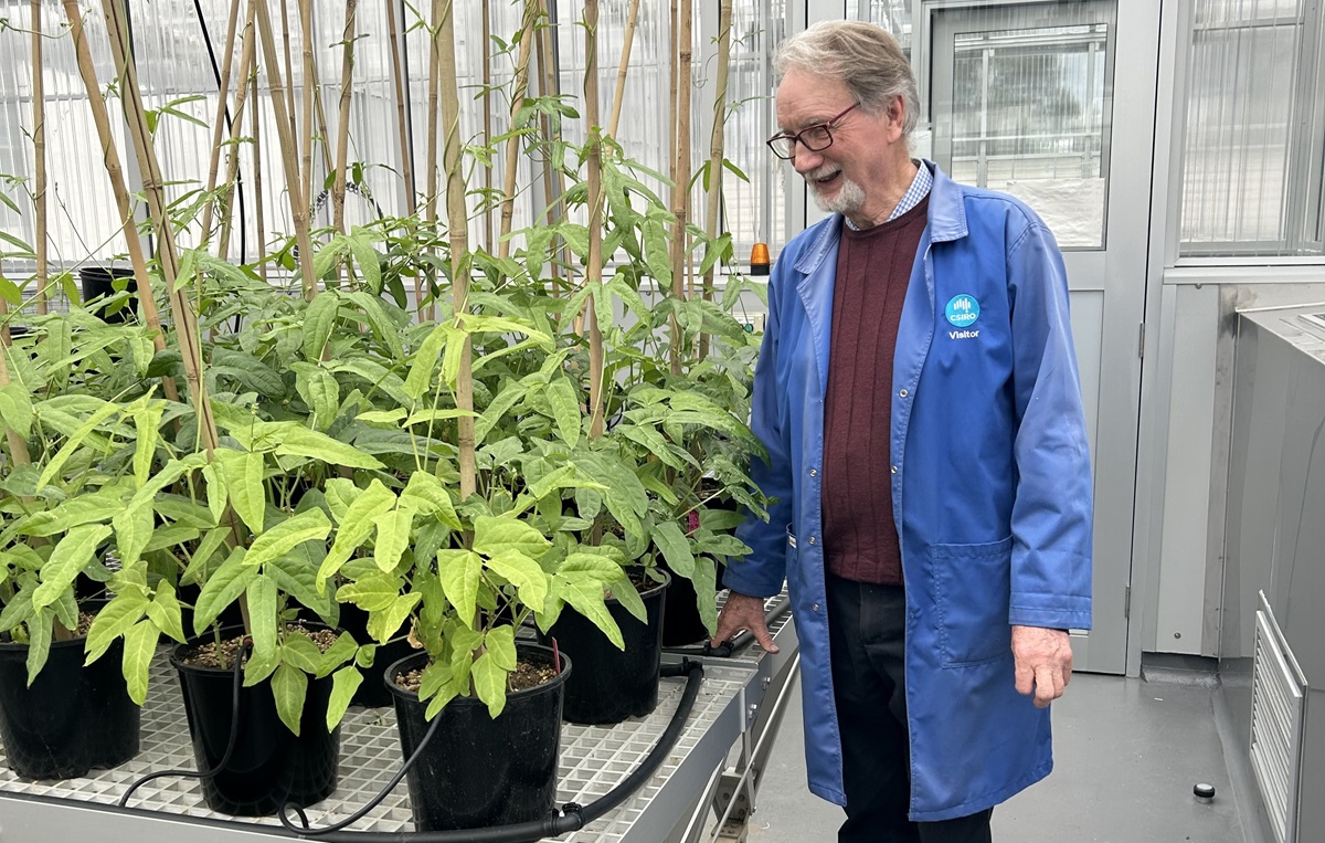 International research collaboration aims to boost food security for ...