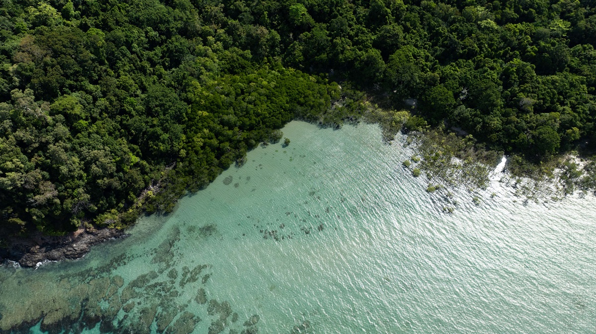 Research Reveals Indigenous-Led Framework for Cultural Licence | Mirage ...