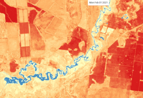 CSIRO and UQ collaborate to boost Australia’s ecosystem research - CSIRO