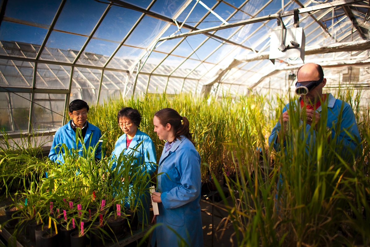 Queensland Government and CSIRO launch free program to boost local ...