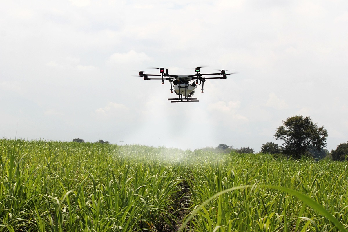 CSIRO supports AI projects for future-ready agriculture under Quad ...