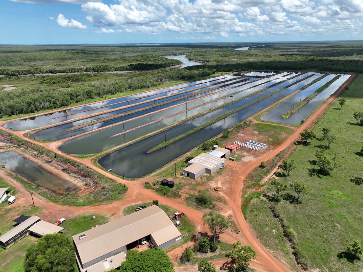 Unlocking aquaculture potential in Australia’s Top End - CSIRO