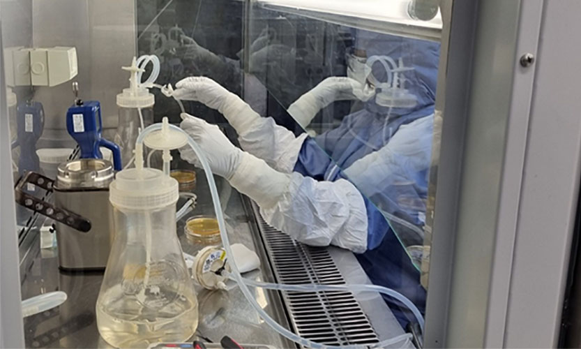 BioMedTech Incubator Program Opens New Funding Round - CSIRO
