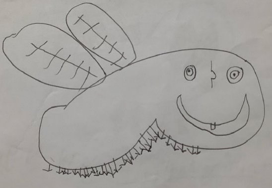 Citizen scientists create buzz with new insect discovery - CSIRO