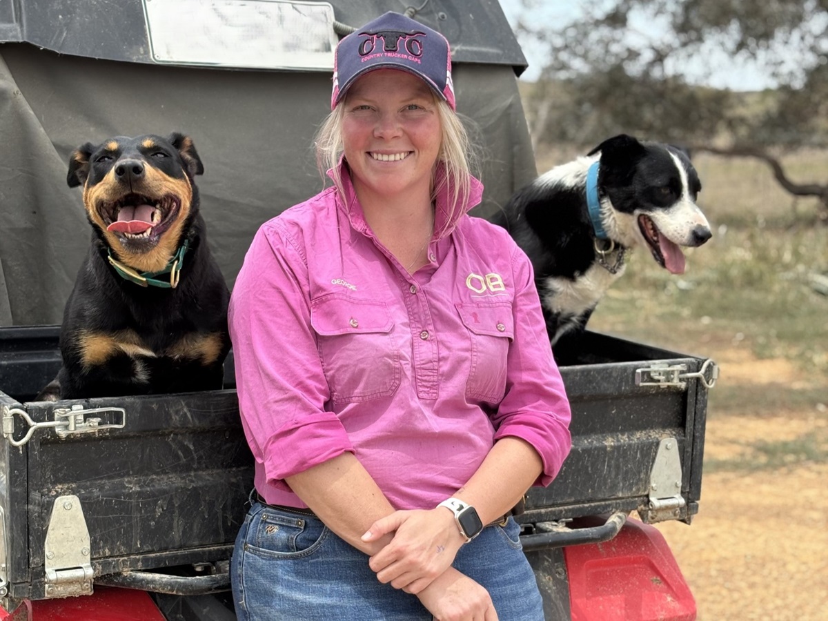 Meet Georgie Martin: pack leader of CSIRO’s muster dogs - CSIRO