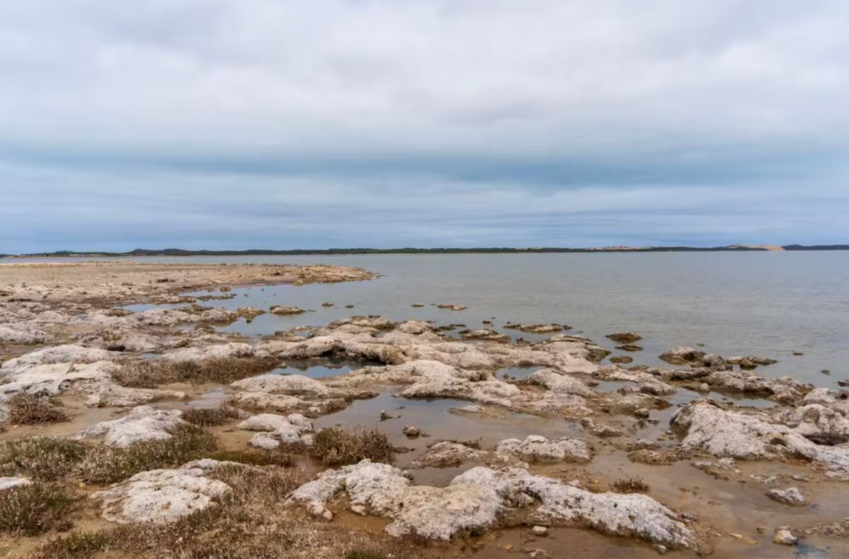When a 1-in-100 year flood washed through the Coorong, it made the ...