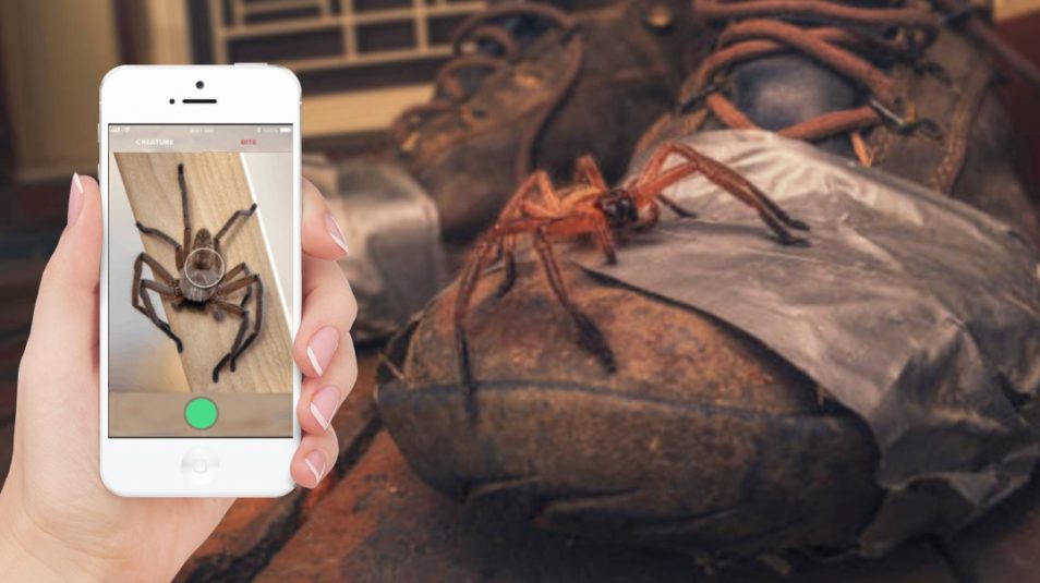 This AI-powered platform can identify insect and snake species from ...