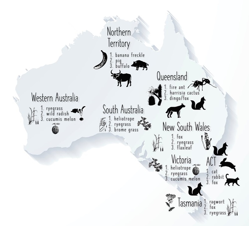 Pest Plants And Animals Cost Australia Around 25 Billion A Year And pest-plants-and-animals-cost-australia-around-25-billion-a-year-and
